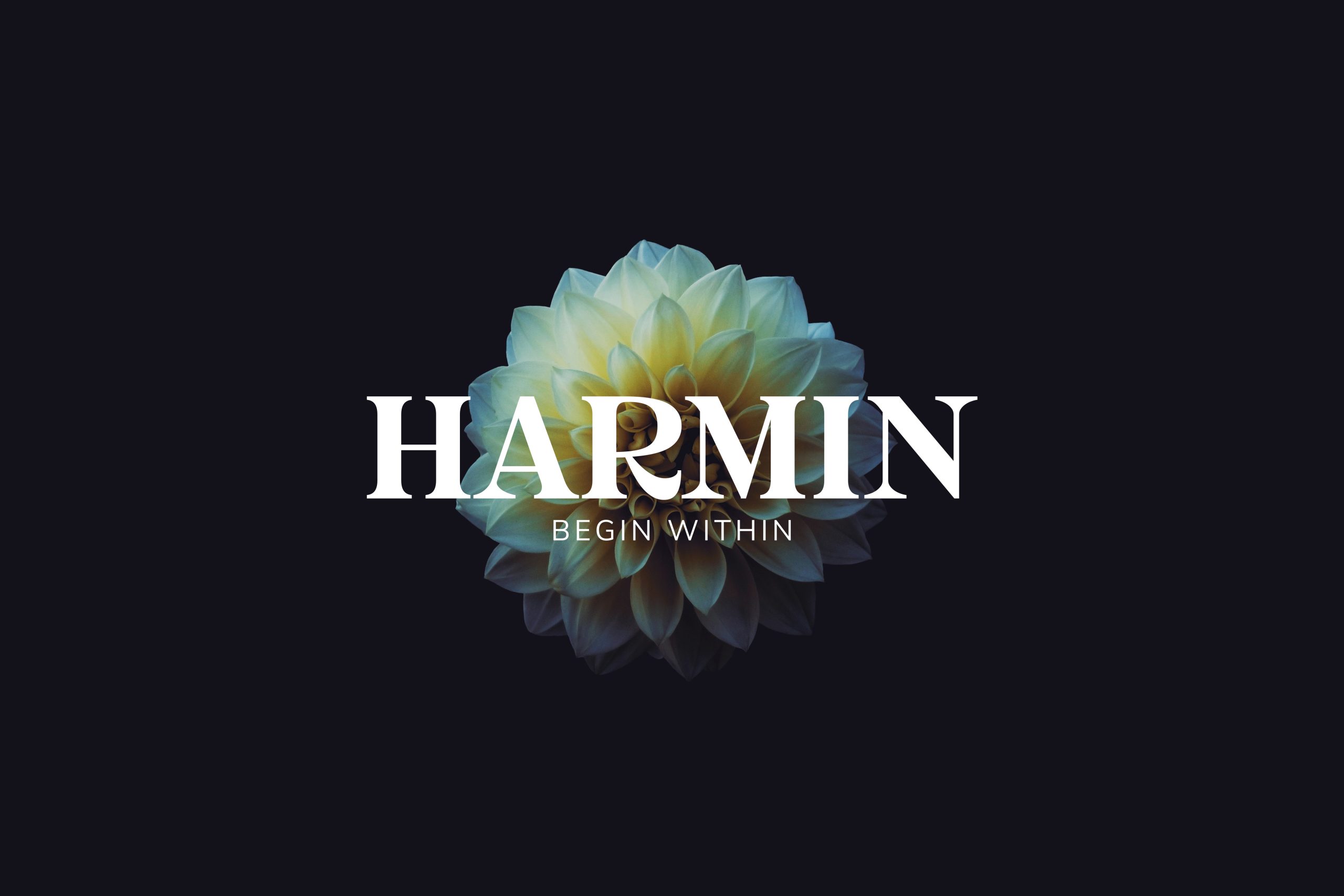 Harmin | Practical Tools for Higher Consciousness